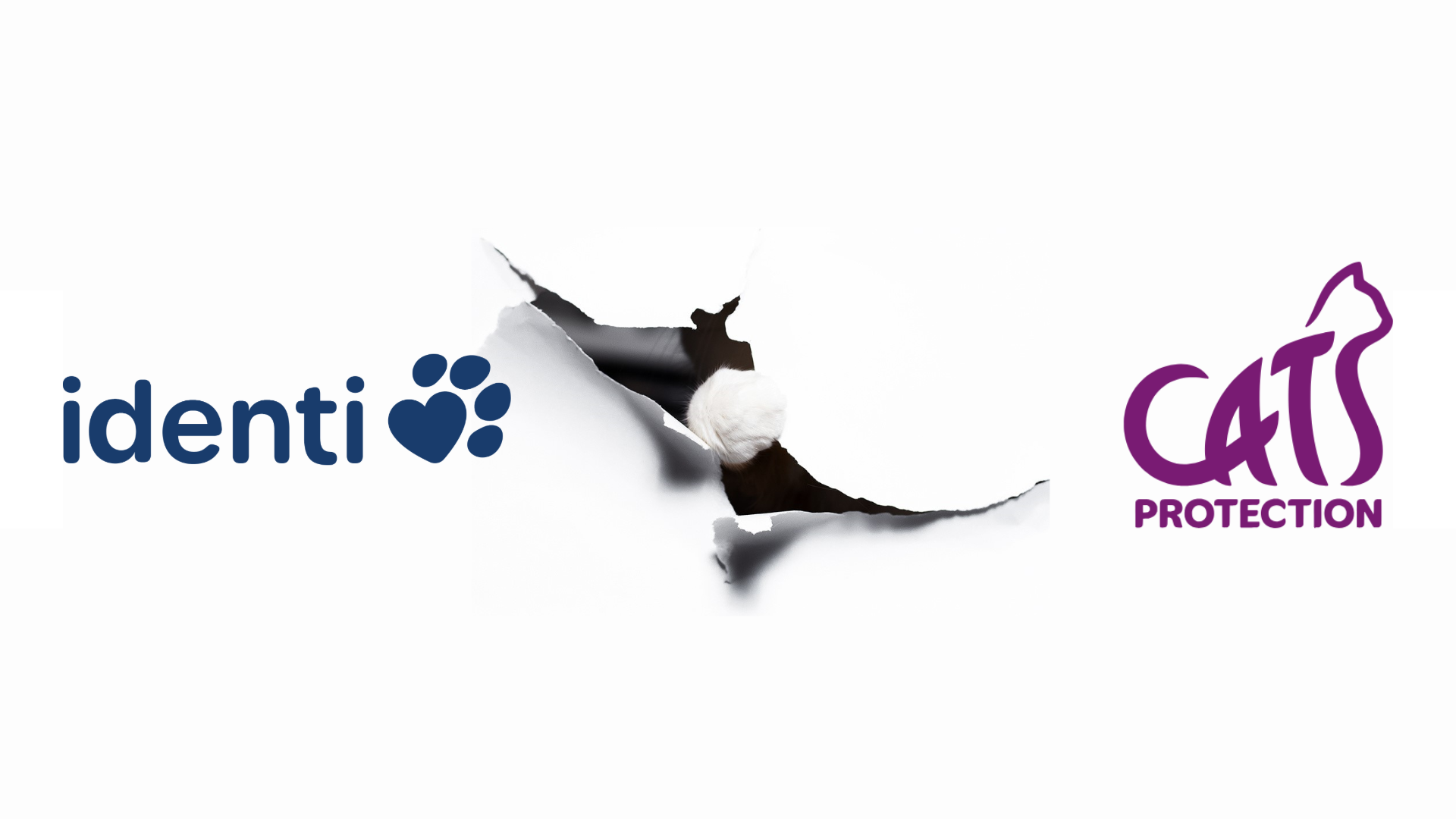 CP SITE BANNERS-1 – identichip